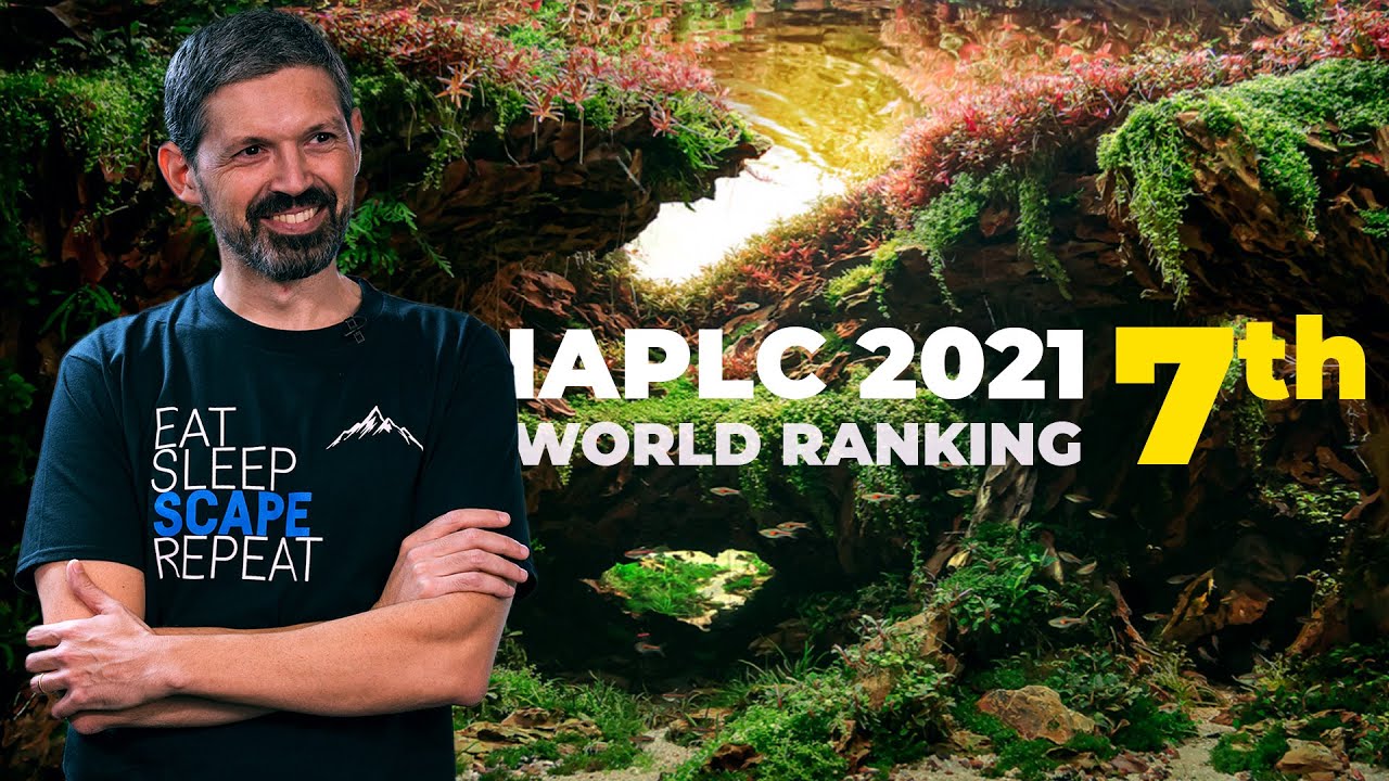 IAPLC Bronze Prize Winner: “How I Made My Aquascape” - YouTube