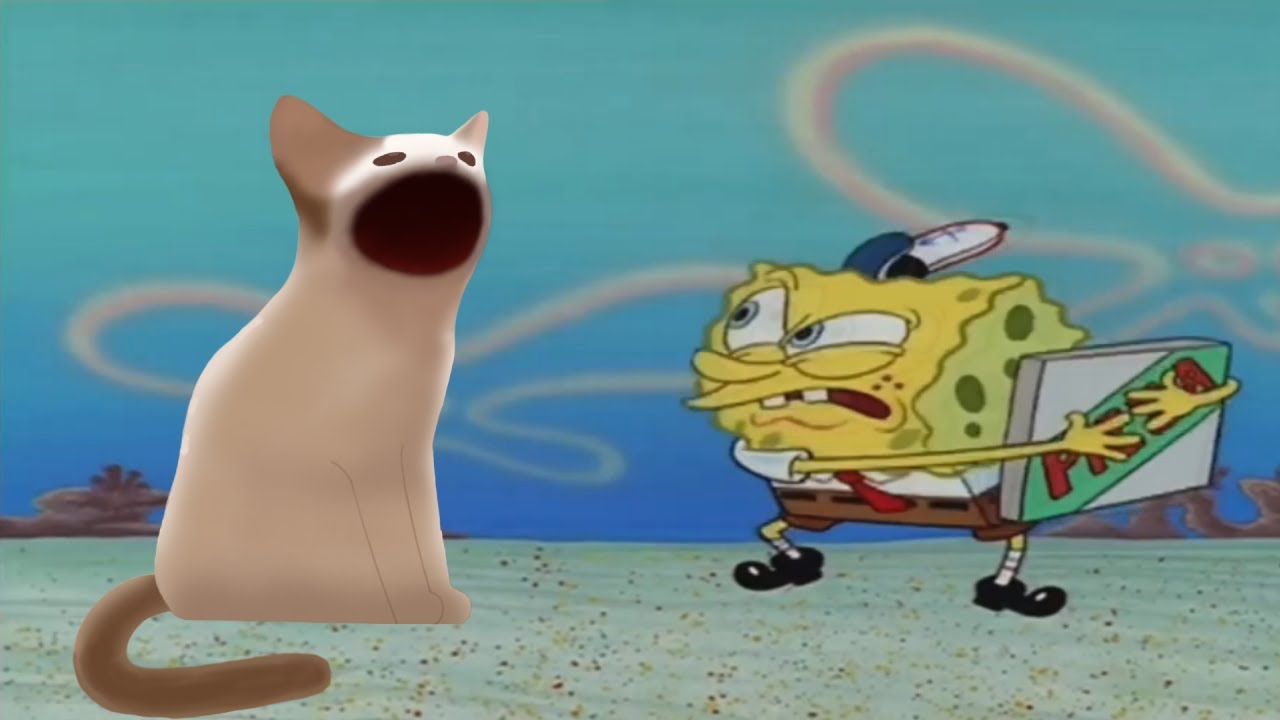 Pop Cat trying to get a pizza from Spongebob - YouTube