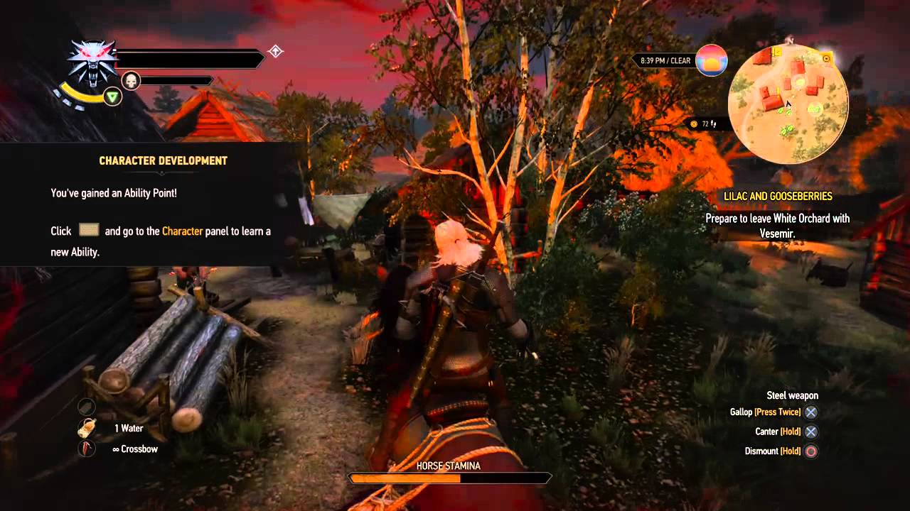I Kill The ROYAL GRIFFIN In The Witcher 3. - YouTube