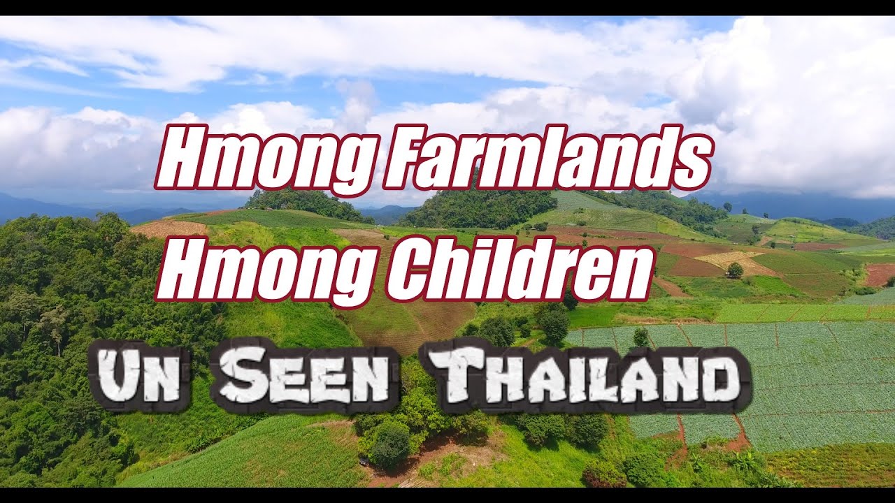 Hmong Farmland, Hmong Children, Up on the mountain in Chiang Mai , Hang ...