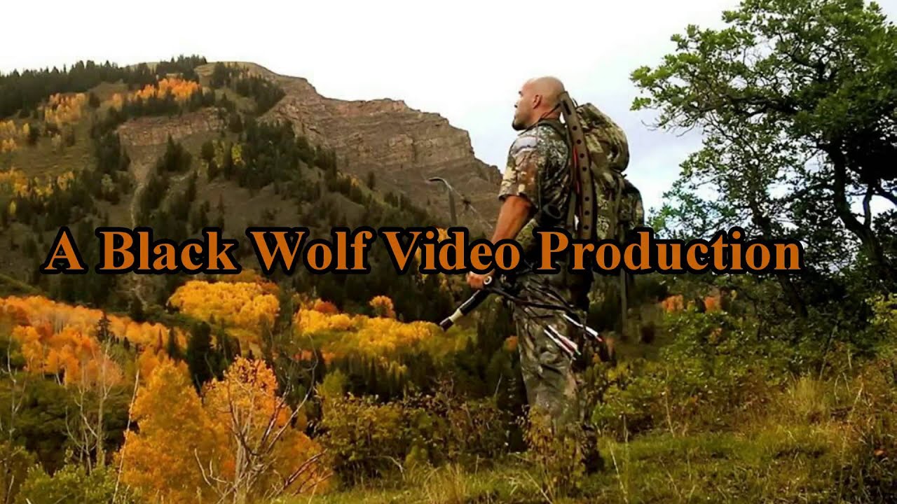 Recurve Bowstring Test - YouTube