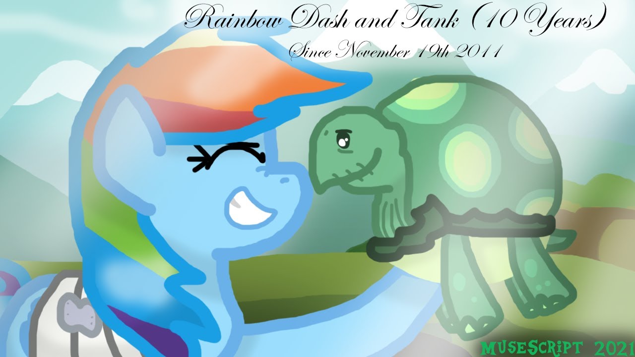10 Years of Rainbow Dash and Tank (PMV) - YouTube