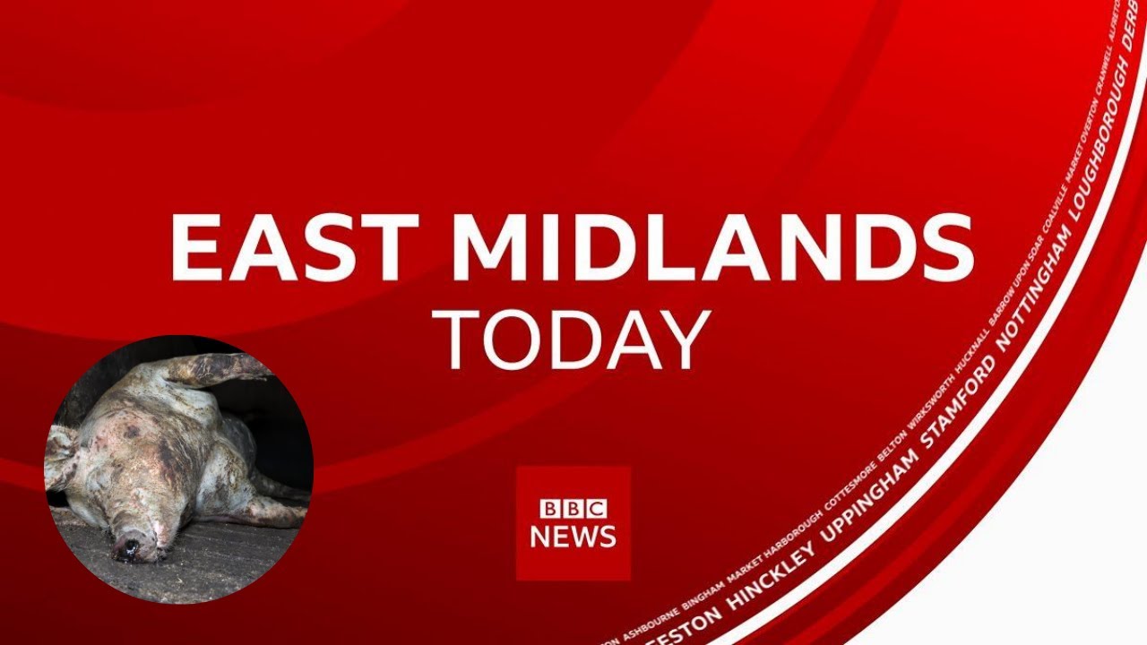 Flat House Farm Investigation | BBC East Midlands | Lex Rigby Viva ...