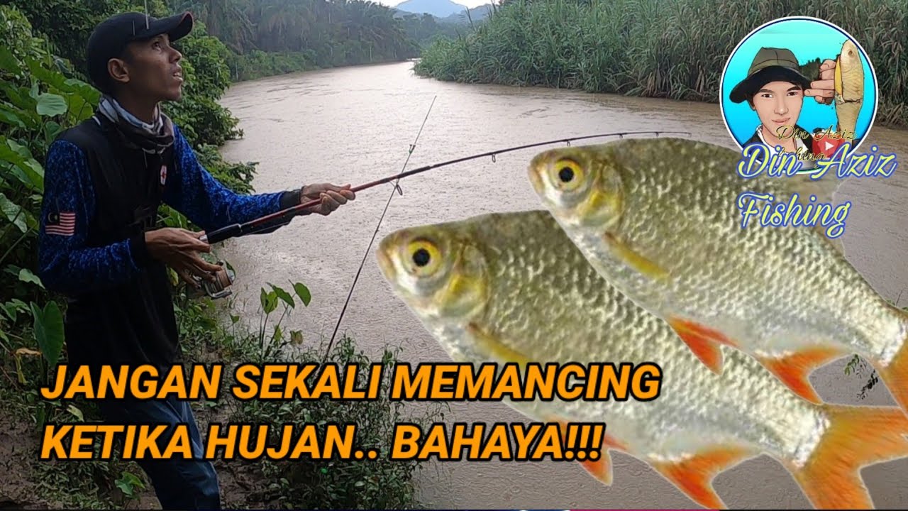 #fishing MEMANCING IKAN SUNGAI DISUNGAI KALI KEDUA KETIKA HUJAN//JANGAN ...