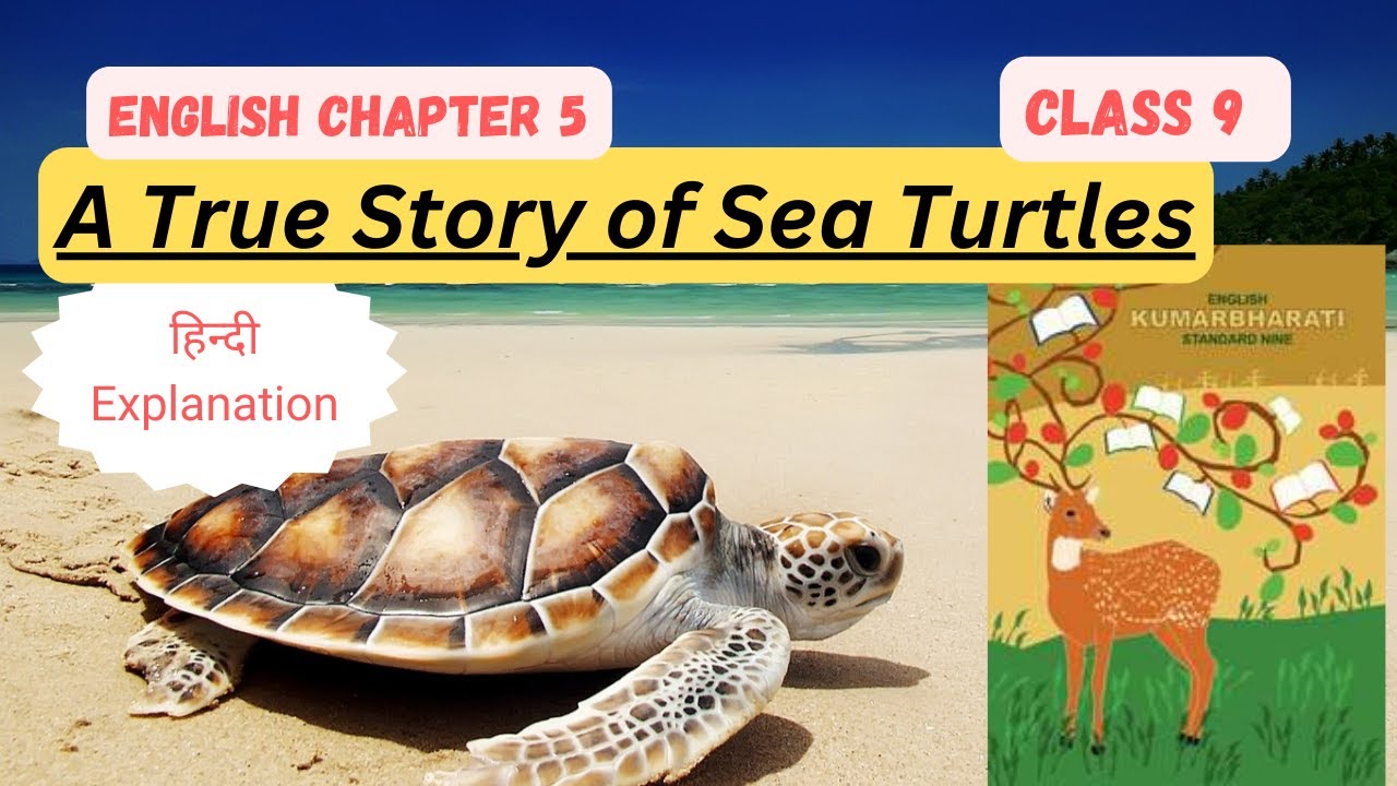 Ch.5 A True Story of Sea Turtles| English Class9|Full Hindi Explanation ...