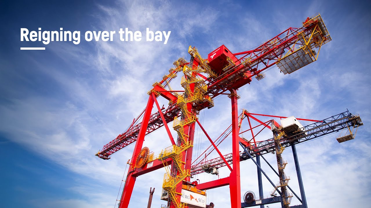 Reigning over the bay: New STS container cranes at Port Elizabeth ...