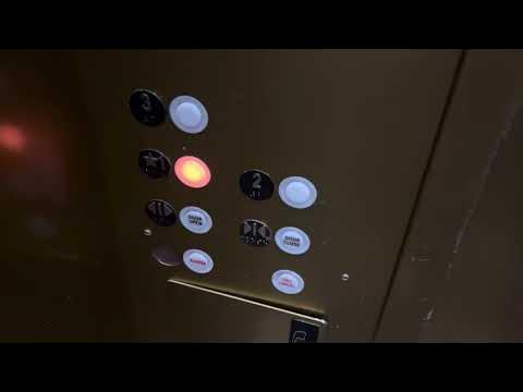 Mowrey Hydraulic Elevator @ The Savoy Hotel & Beach Club, Miami Beach ...