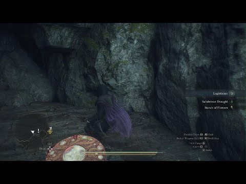 Brother have you been here the whole time?- Dragons Dogma 2