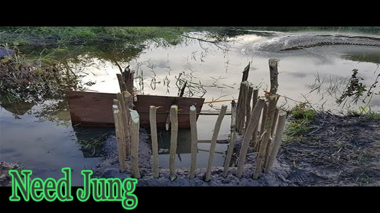 Boy And Small Boy Make A Fish Trap -How To Make Fish To Catch Big Fish ...