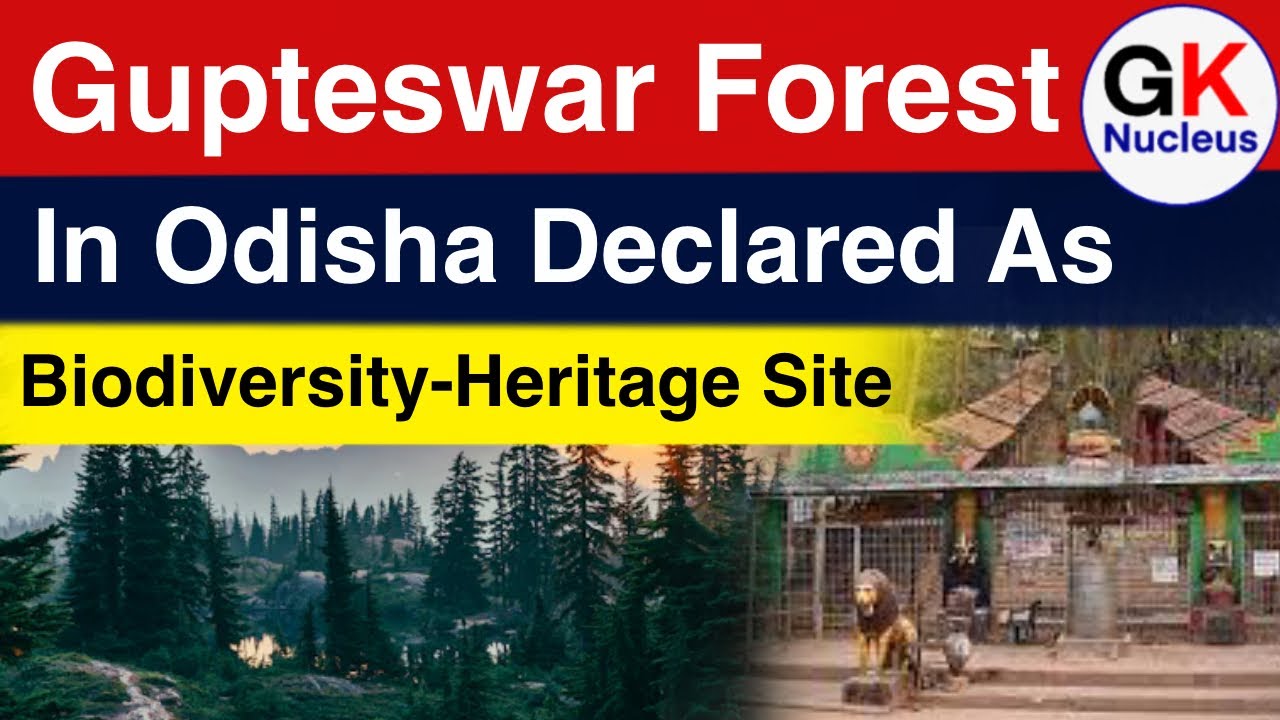 Gupteswar Forest In Odisha Declared Ad Biodiversity Heritage Site ...