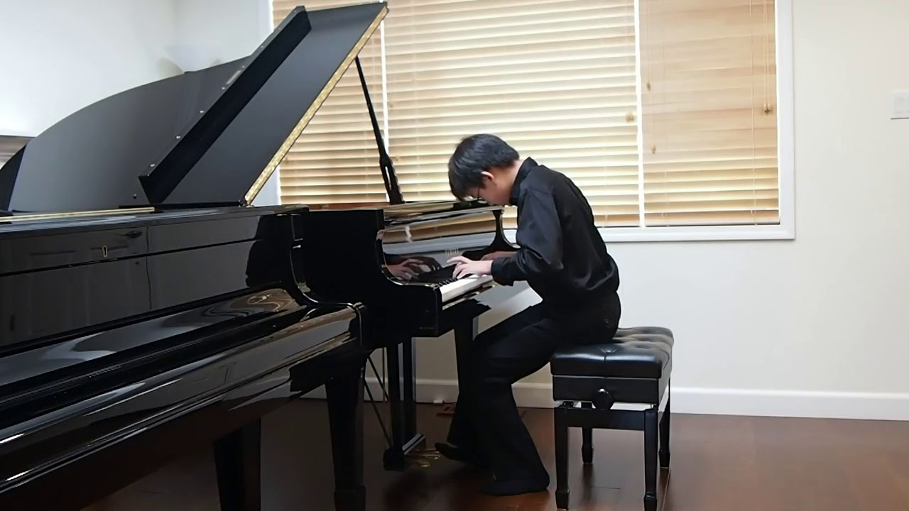 First Prize&Top Performer Runner Up2018 US New Star Piano Competition ...
