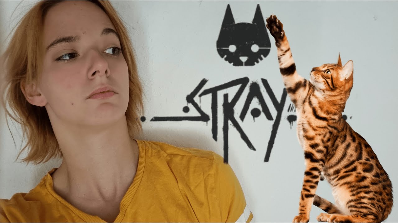 Ich bin zum ersten Mal ein Streuner | Stray Part 1 - YouTube