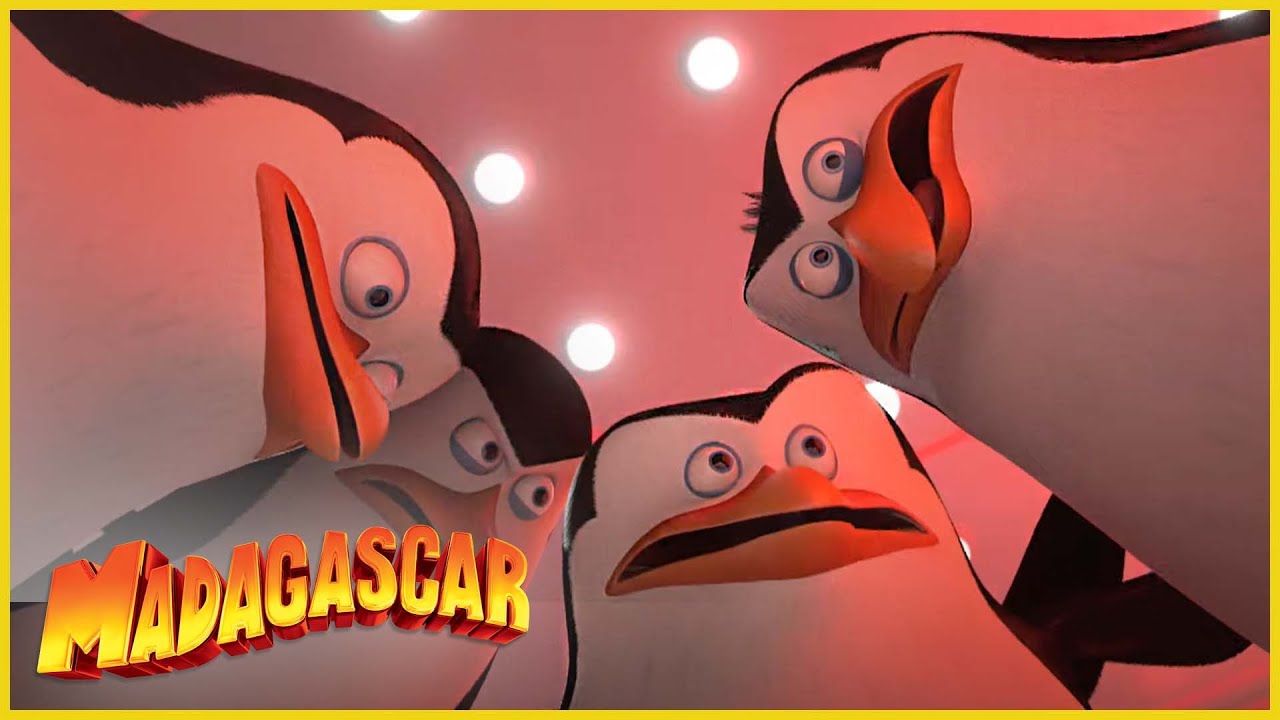 DreamWorks Madagascar en Español Latino | Los pingüinos crean un plan | Los Pingüinos de ...