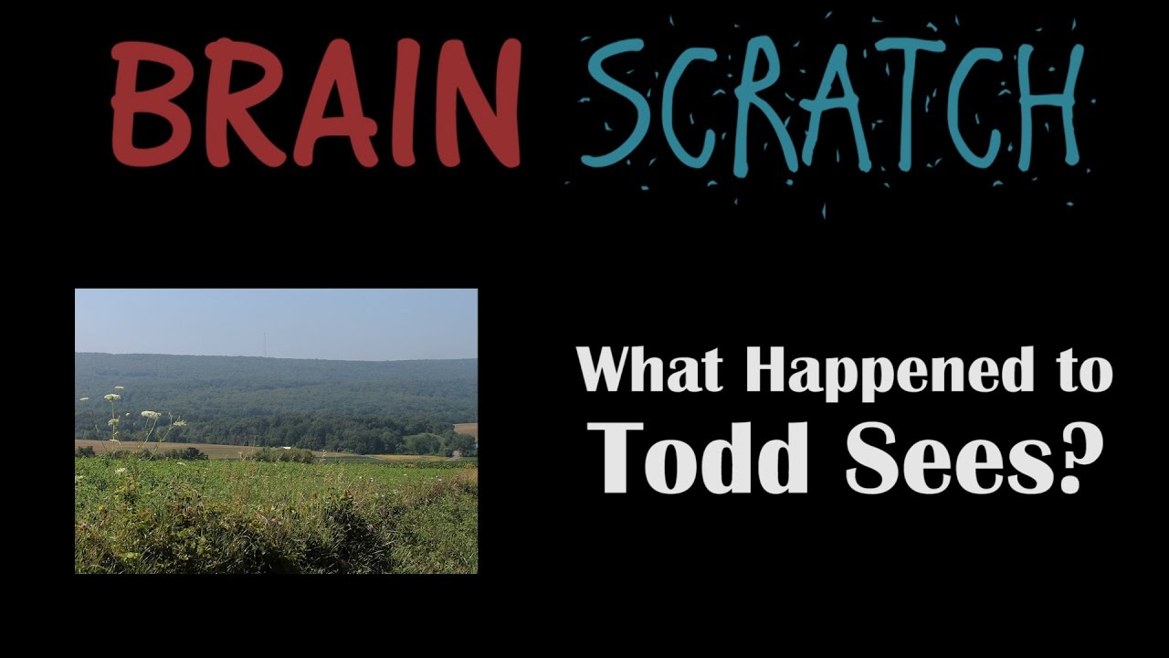 BrainScratch: What Happened to Todd Sees? - YouTube