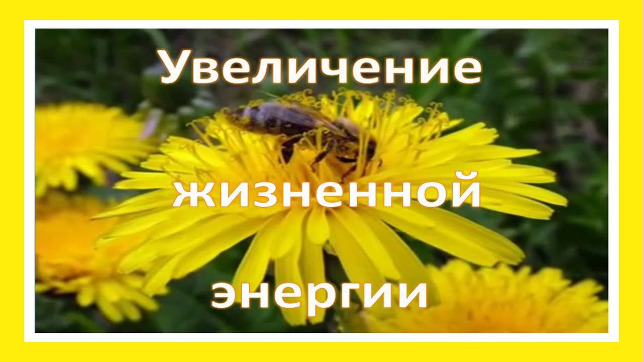 УВЕЛИЧЕНИЕ ЖИЗНЕННОЙ ЭНЕРГИИ запись вебинара Любови Пятилетовой Youtube