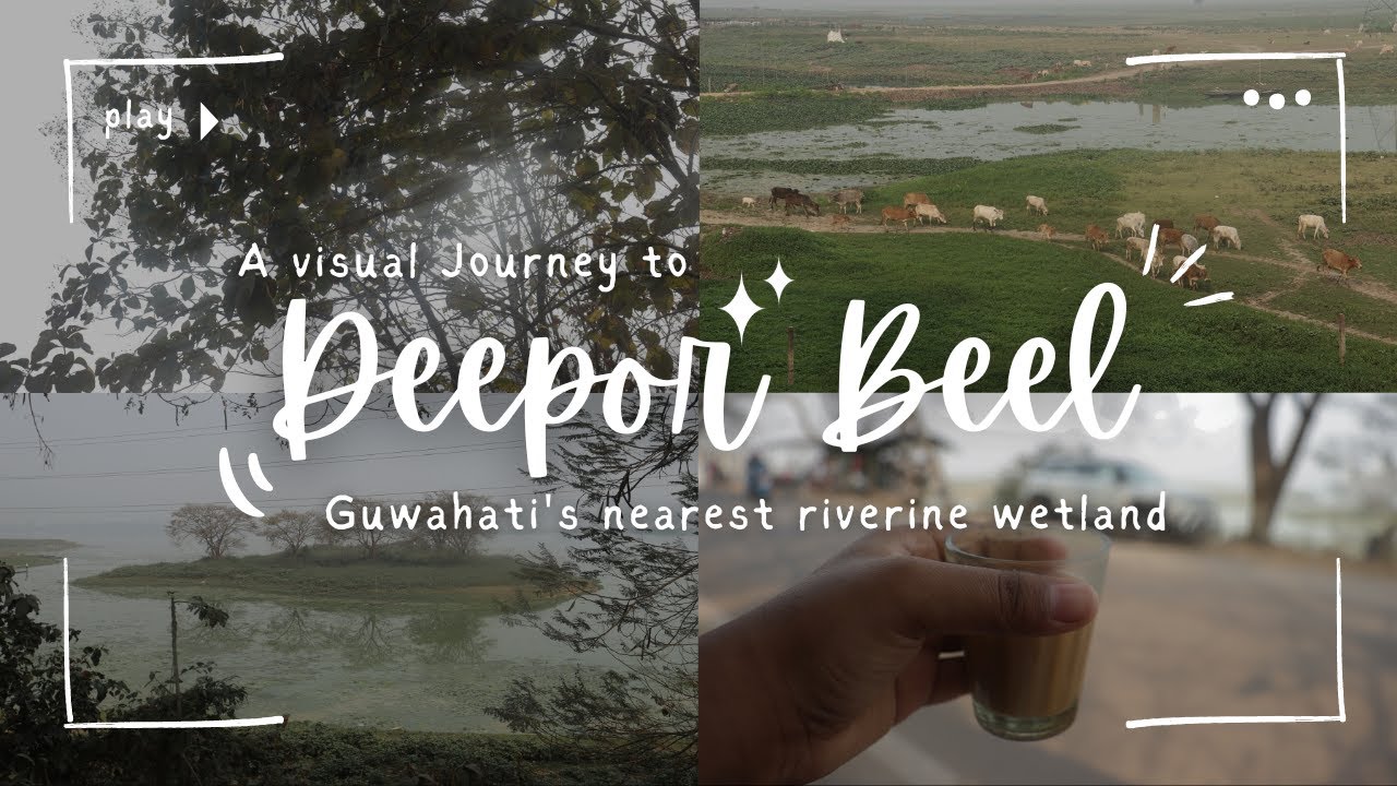 Visiting Deepor Beel in Guwahati | Scenic drive, cloudy day, making fur ...