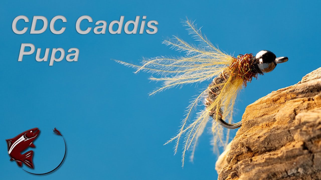 CDC Caddis Pupa - YouTube