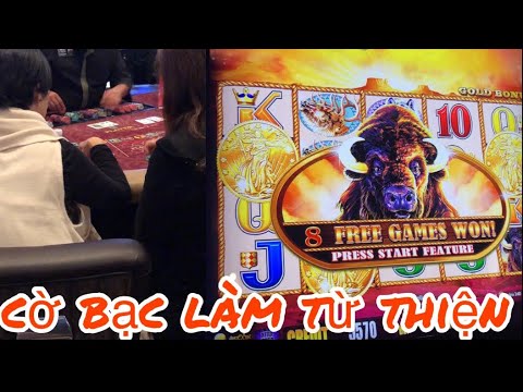 🇺🇸9:Cờ bạc ở Mỹ: Đi casino ở Mỹ Kim Tiền làm từ thiện giúp đỡ Ho Thi Gia Bang suy thận