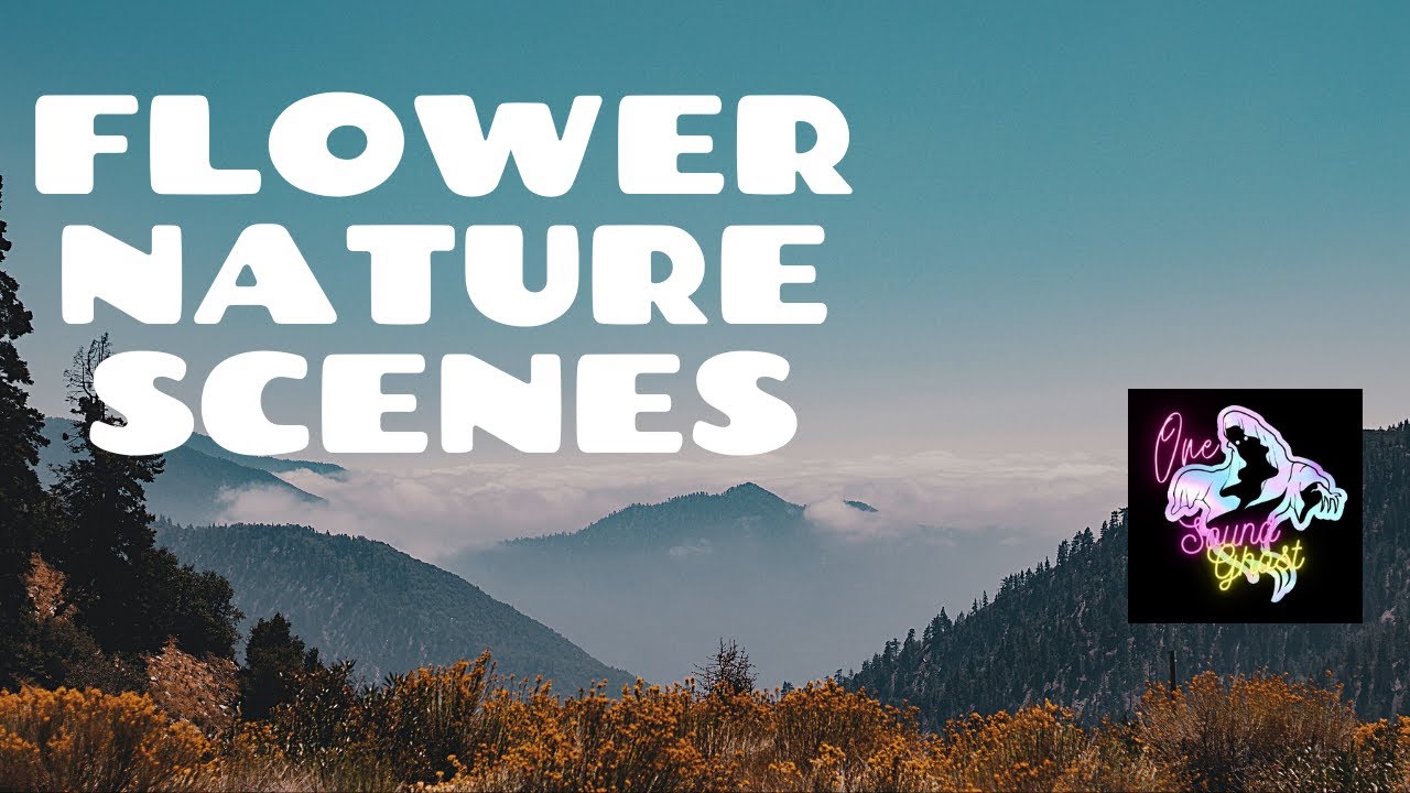 ONE Hour Flowers Peaceful Relaxing Meditation Music Nature Sounds Birds ...