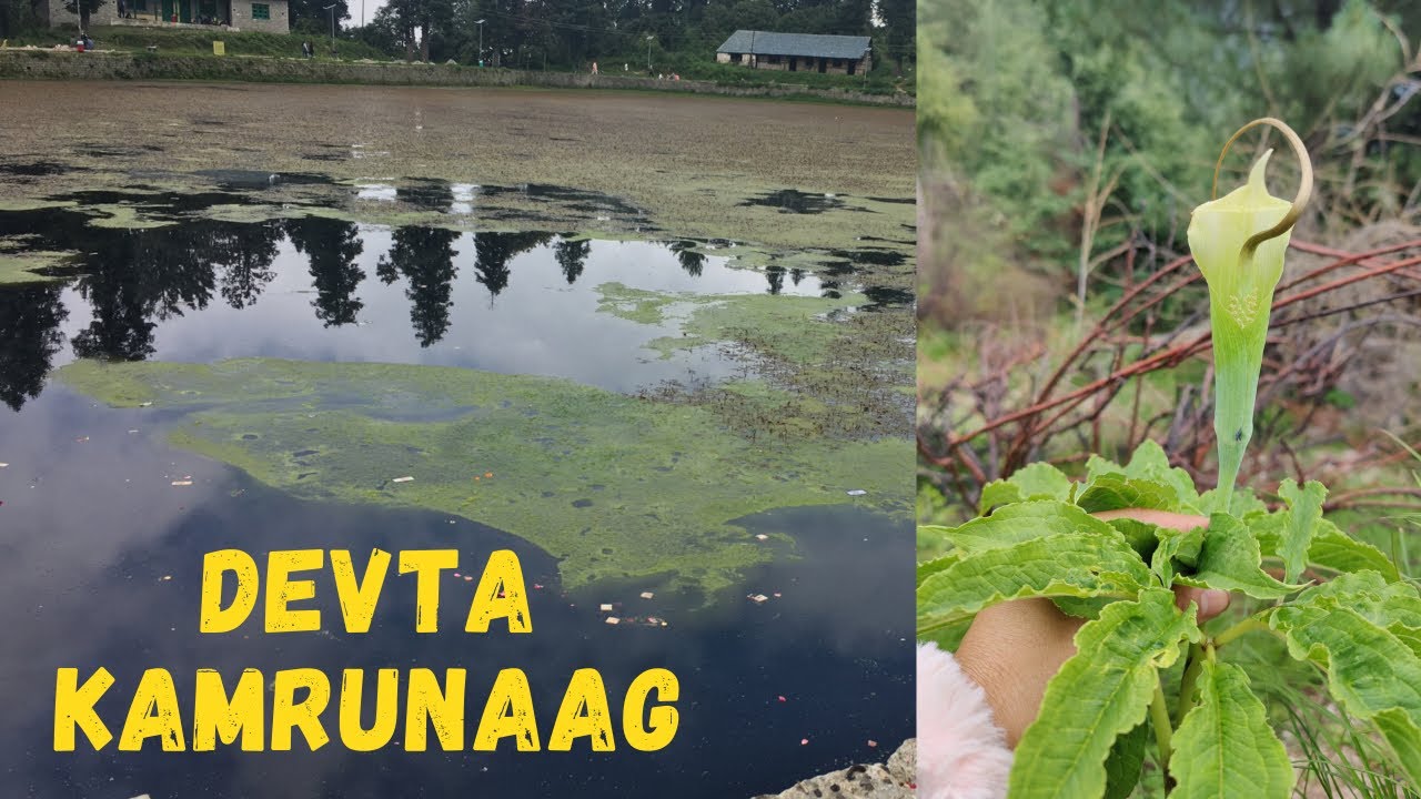 Devta Kamrunaag || Zoey Exploring - YouTube