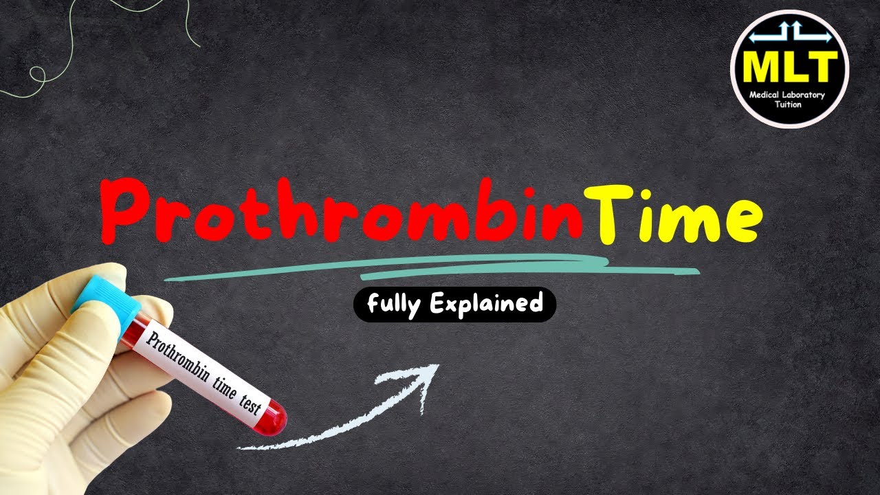 Prothrombin Time Test || all about PT Test - YouTube