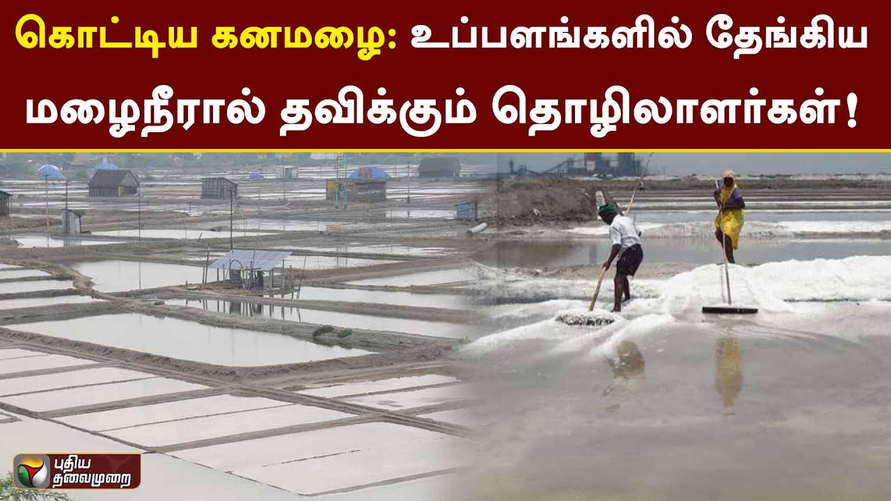 கொட்டிய கனமழை... உப்பளங்களில் தேங்கிய மழைநீரால் தவிக்கும் தொழிலாளர்கள் ...