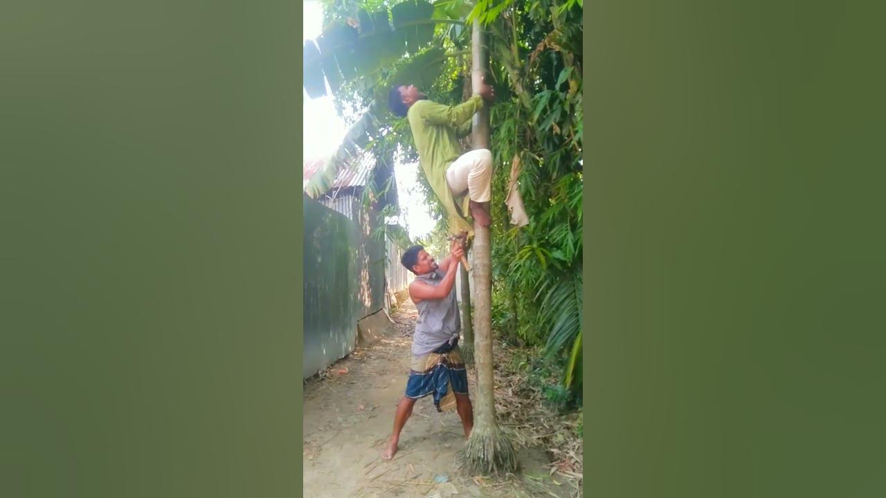 May 17, 2025 - YouTube