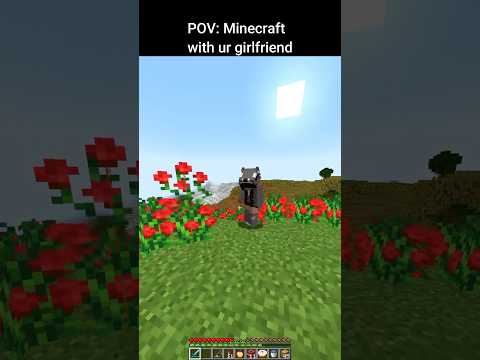 Minecraft girlfriend moment