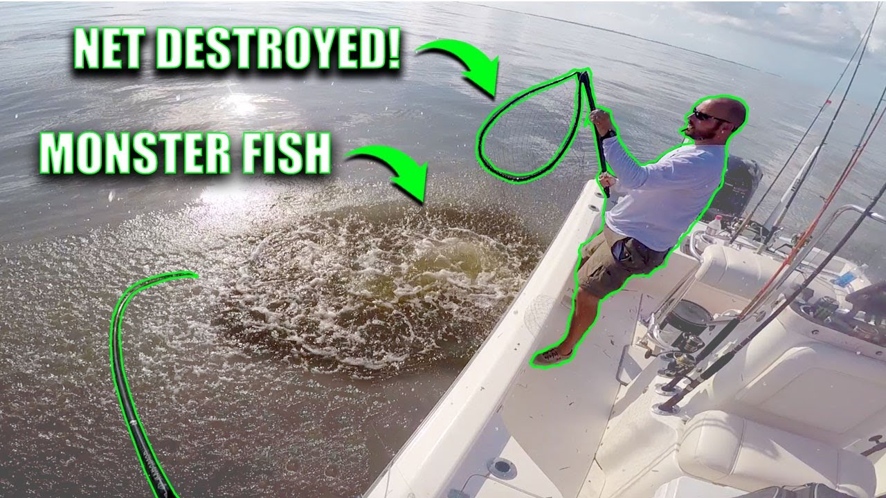 Near WORLD RECORD Tripletail FIsh Destroys Net!! CRAZY Fishing Fail and ...