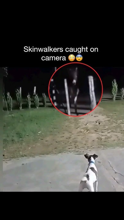Skinwalker caught on camera - YouTube