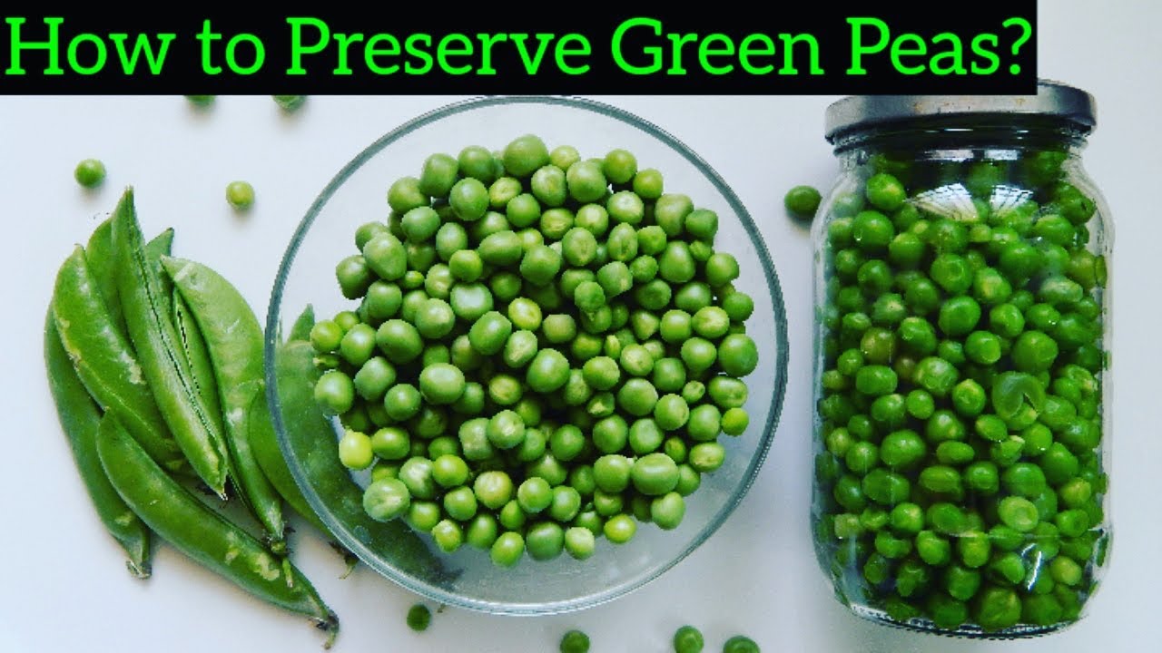 How to Blanch and Freeze fresh green peas | Homemade frozen peas - YouTube