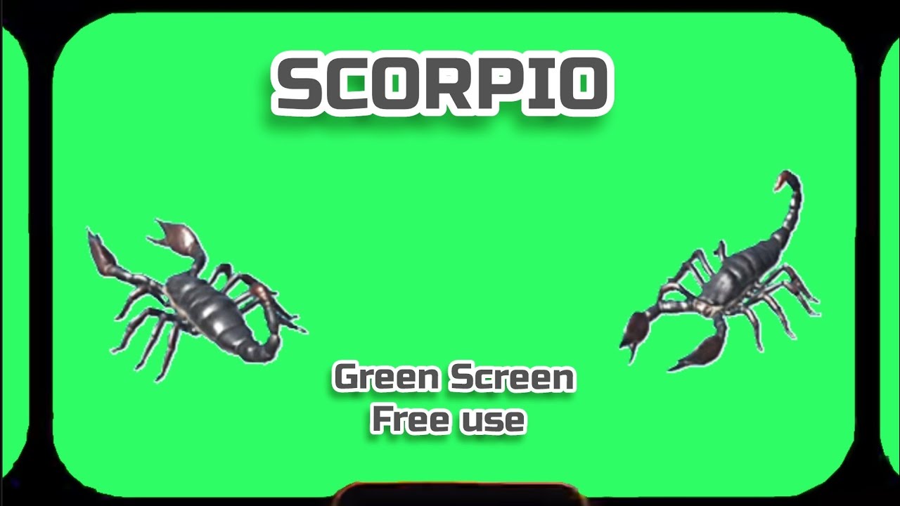 SCORPIO video animation GREEN SCREEN. Chromakey FOOTAGE. - YouTube