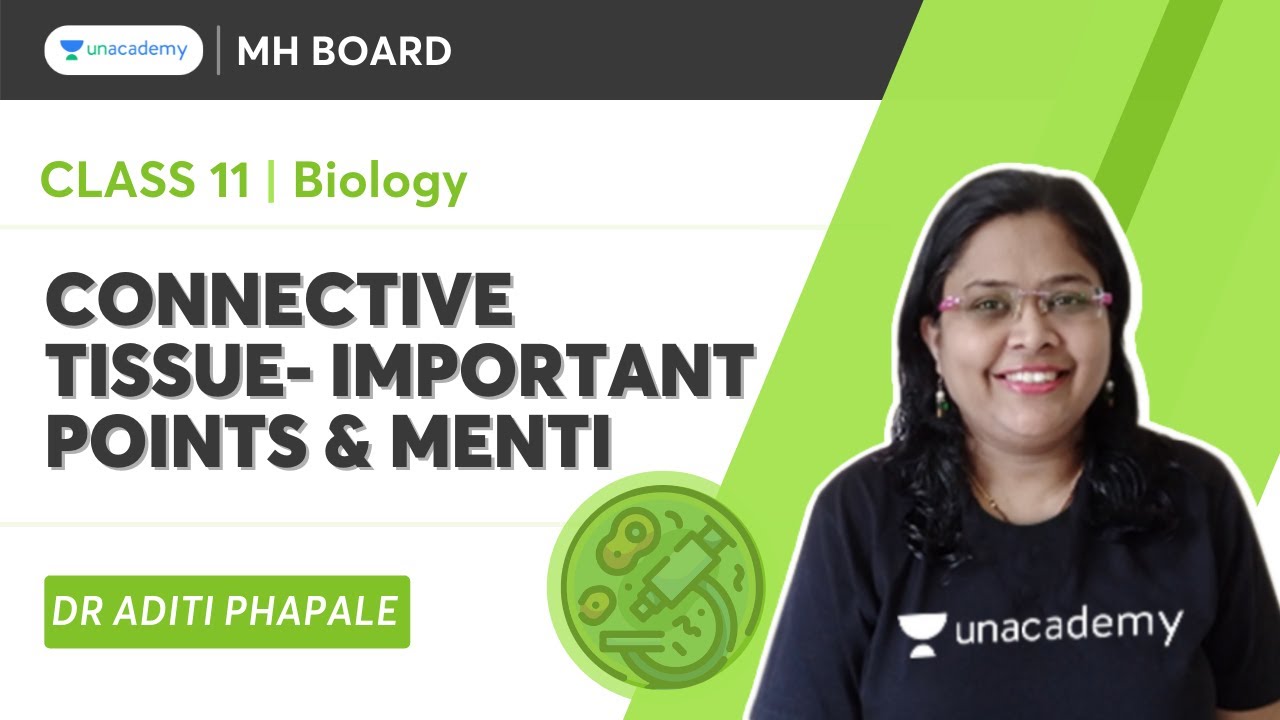 Connective Tissue Important Points Menti HSC 11 Biology Dr connective-tissue-important-points-menti-hsc-11-biology-dr