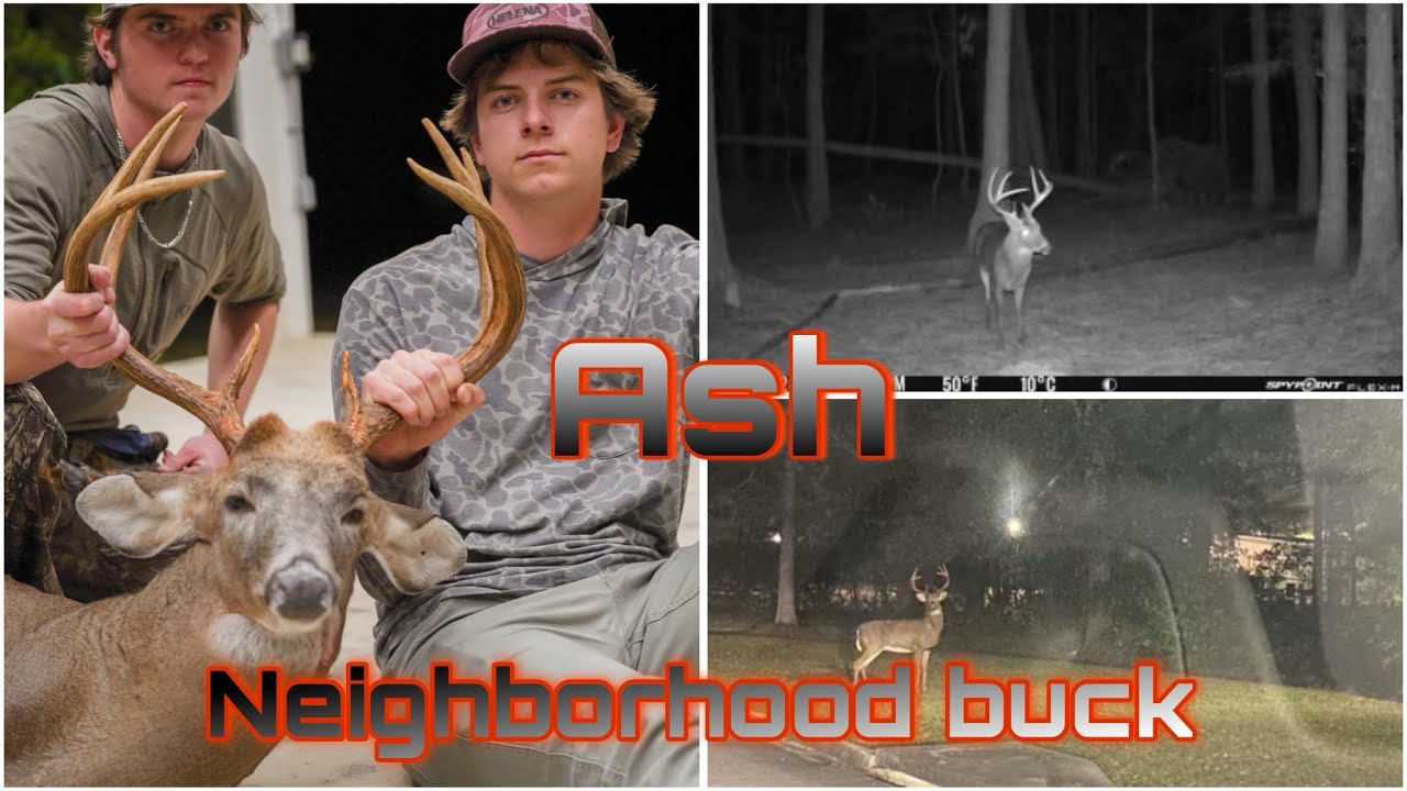Huge Neighborhood Buck: The story of Ash - YouTube