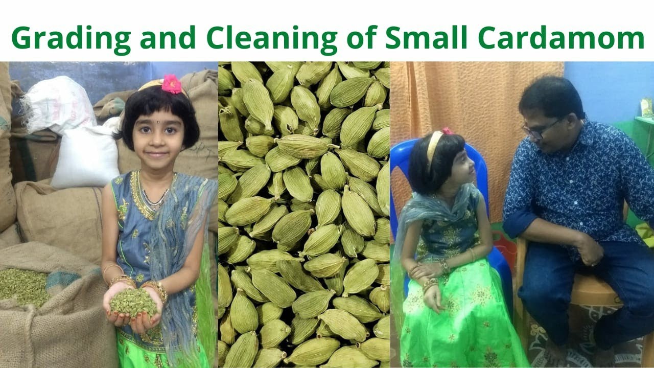 Grading and cleaning of small Cardamom Bodinayakanur l Bodinayakanur ...