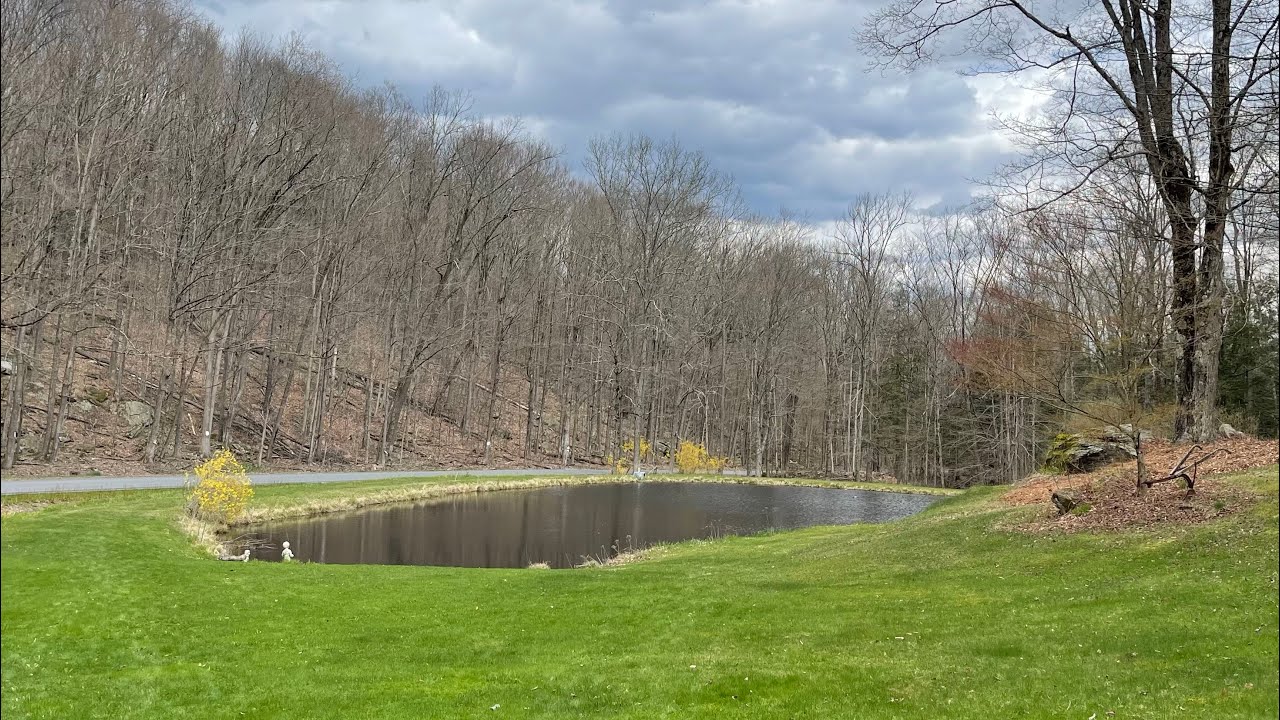 Catch and Cook… Farm Pond Friday - YouTube
