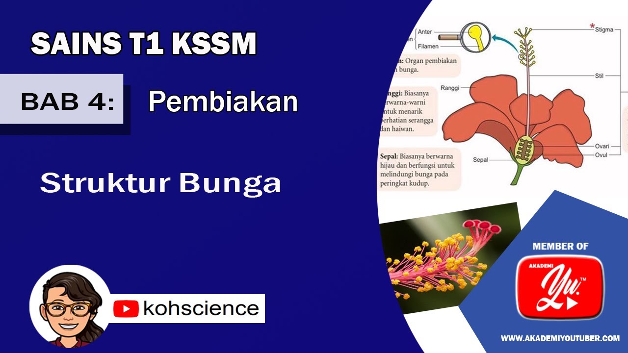 SAINS T1-B4 Struktur dan fungsi bahagian Bunga - YouTube