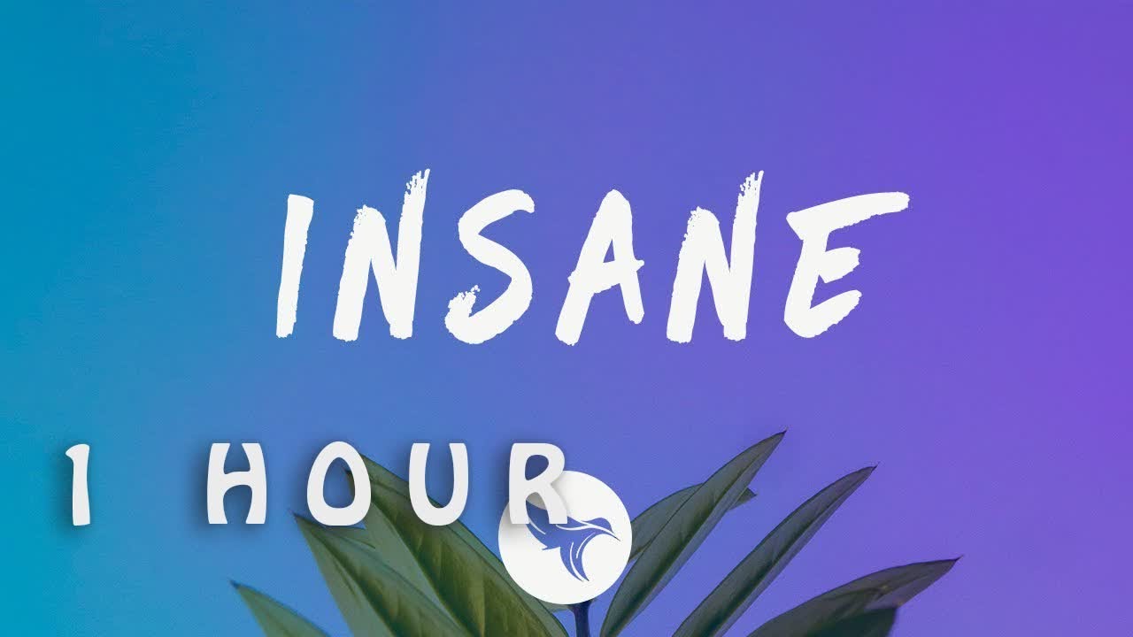 Post Malone - Insane (Lyrics)| 1 HOUR - YouTube