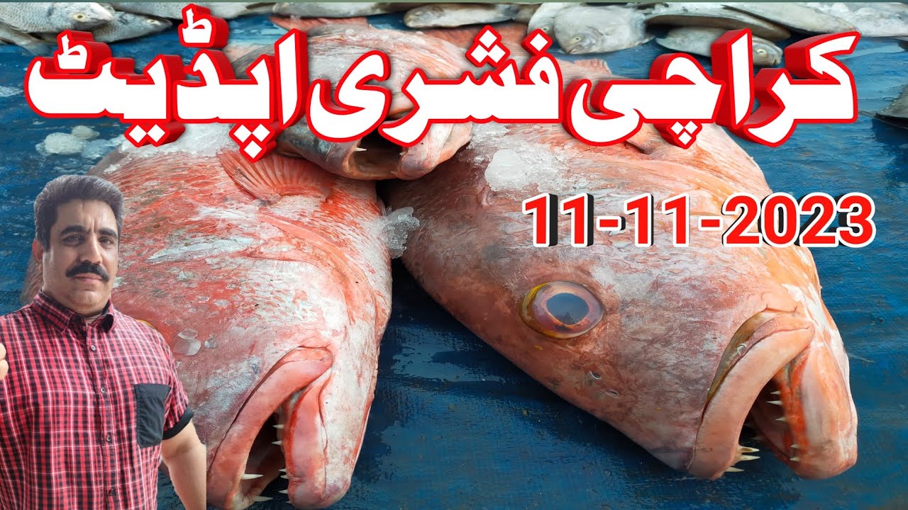 Karachi Fishri II Karachi fishry rate update #naturallodhi #karachi # ...