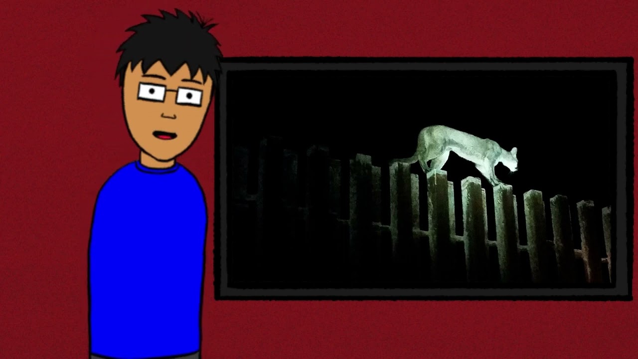 American Scar (Daniel Lombroso, 2022) Review - YouTube