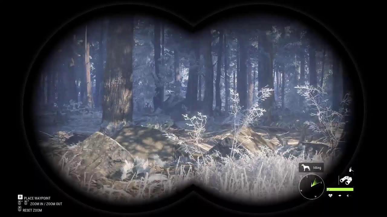 The Hunter Call of the wild, part 2 - YouTube