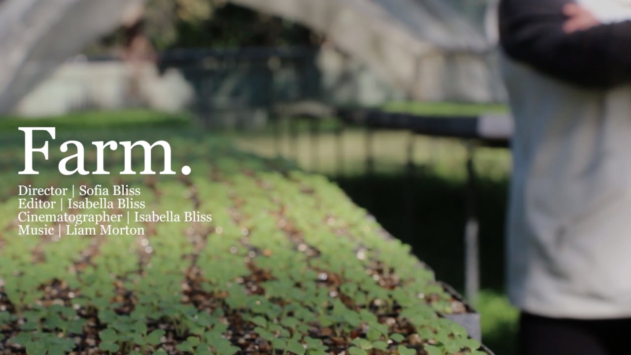 Farm. | Short Documentary Final Cut (1/5) - YouTube