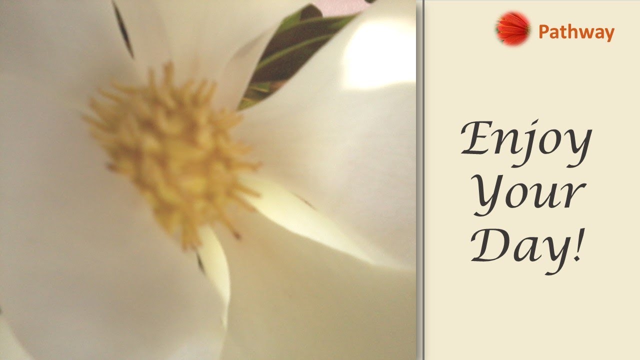 Pathway Greeting Ecards | Enjoy Your Day | General Ecard - YouTube