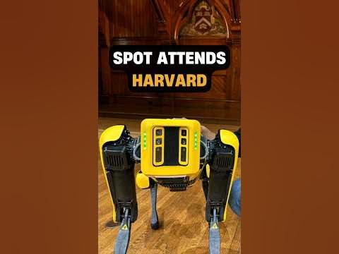 Spot The Robot Joined Harvard’s CS50 Course - YouTube