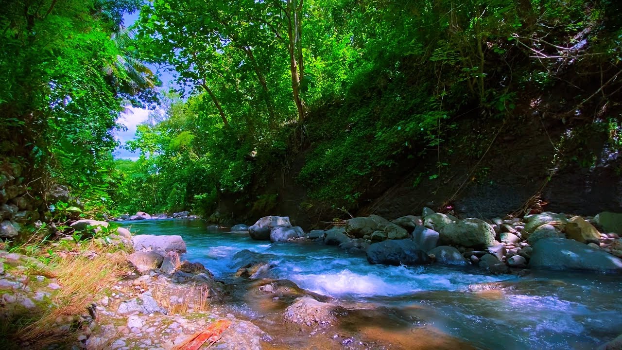 ASMR River Flow – Relaxation and Healing - YouTube