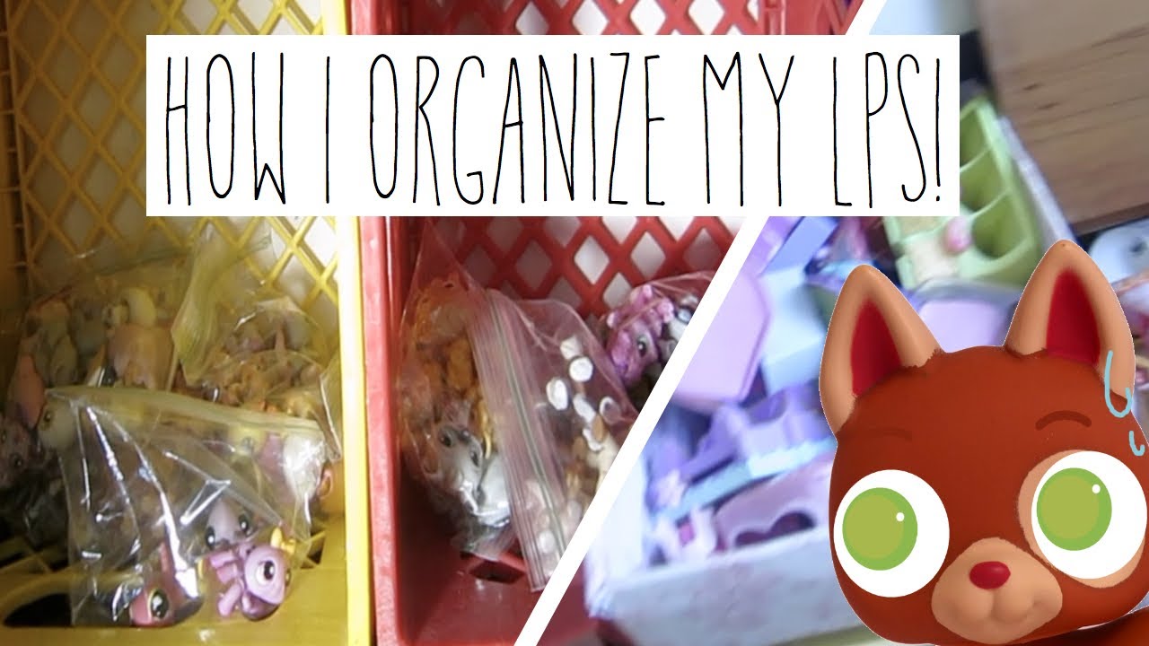 How I organize my lps! | Lps Pan - YouTube