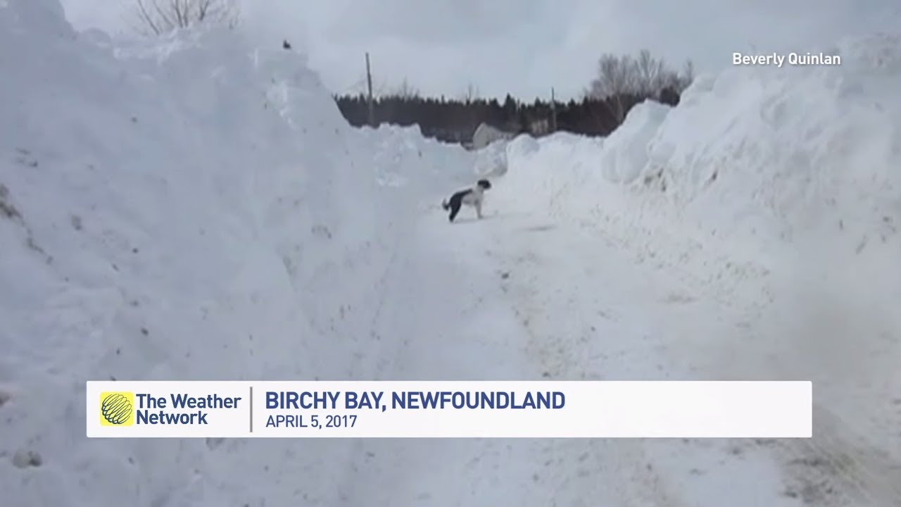 Snow tunnels for roads in Newfoundland - YouTube