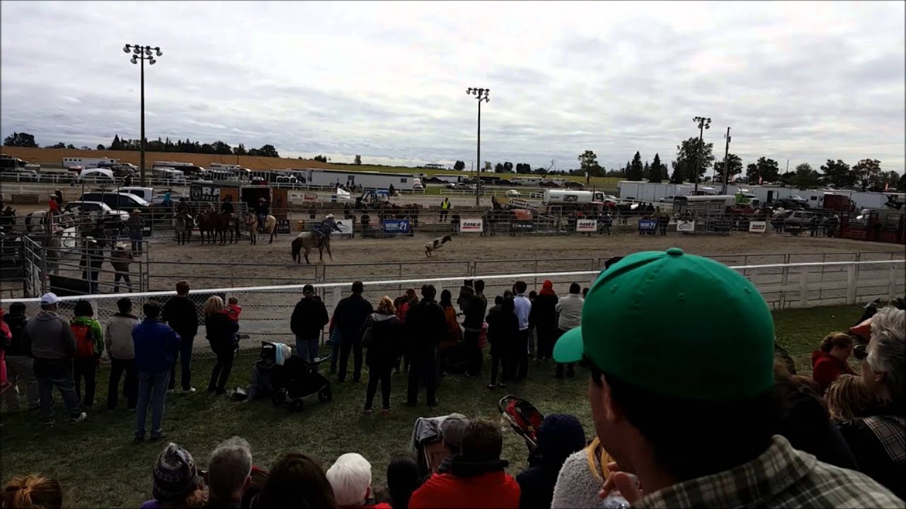 Markham Fair Rodeo 2015 - YouTube