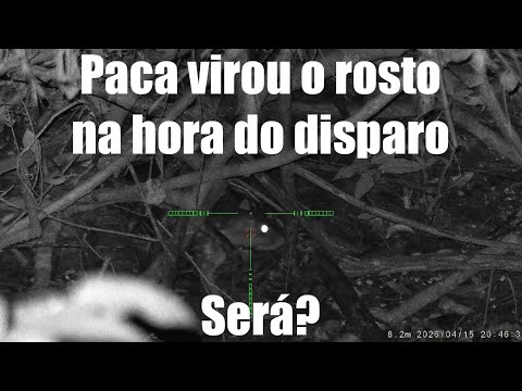 FOI NO LIMITE!! CAÇADA DE PACA GRANDE NA CEVA DO CAJÁ (imagens com visão noturna henbacker cy900)