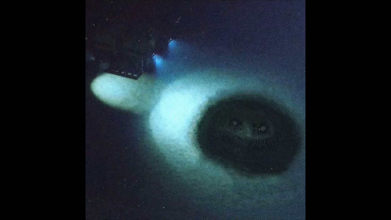 Unnerving Images Meaning